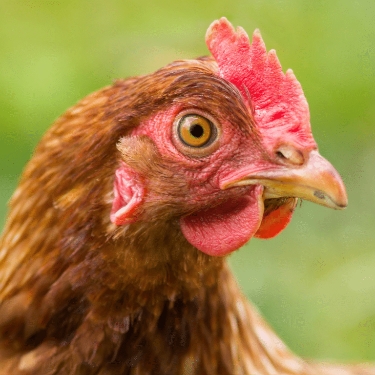 Processes Archive - Mavitec Rendering