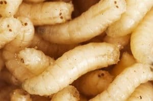 Processes Archive - Mavitec Rendering